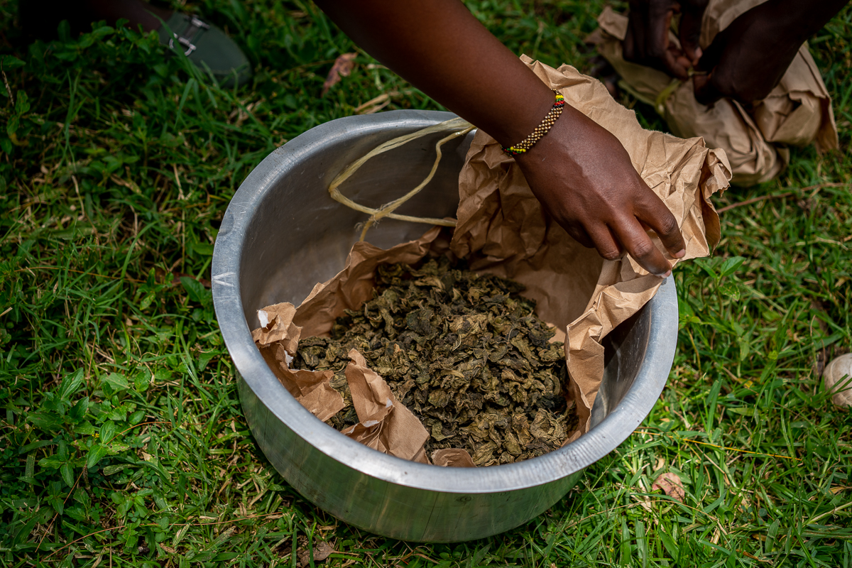 Sango Kenya – Sustainable Agriculture, Nutrition, and Growth Opportunities.