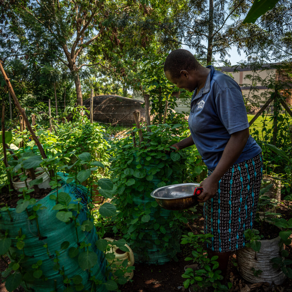 SANGO Diaries, Ch. 43. SANGO-Kenya Farmers Demonstrate Strength, Determination, and Leadership ...